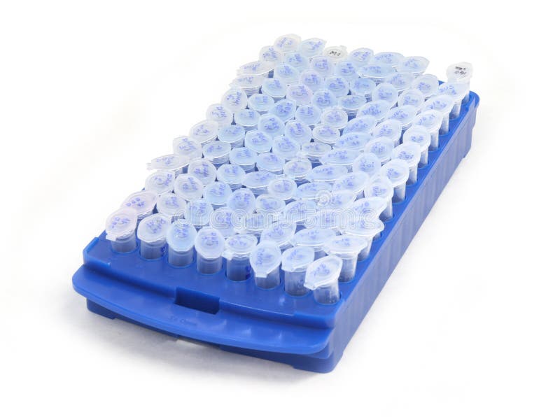 A Full Rack of Lab Samples in Plastic Vials Stock Photo - Image of ...