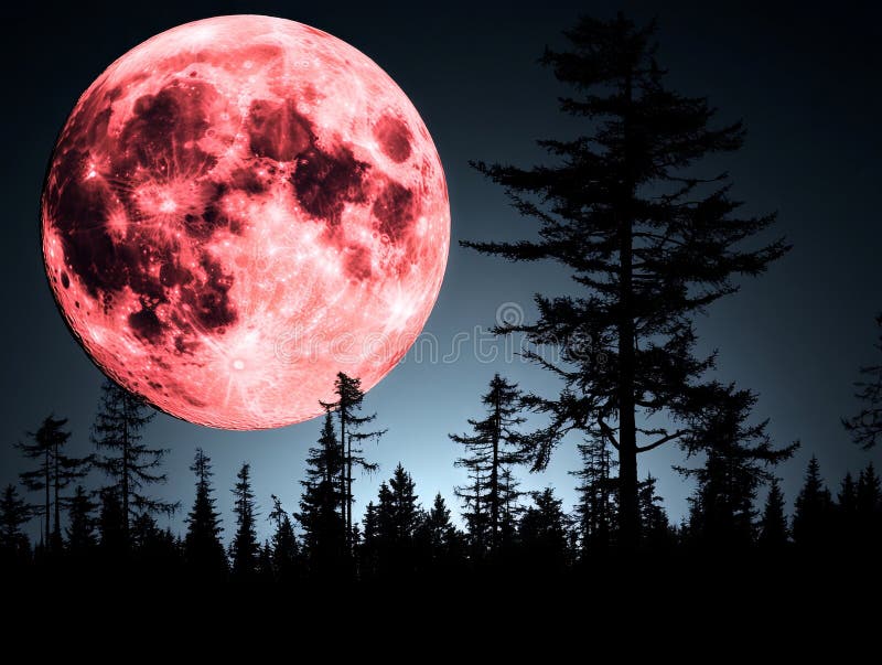 A Full Red Moon in the Night Sky with Trees in the Foreground Stock ...