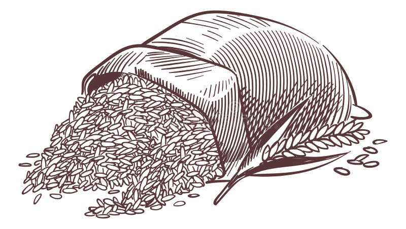 Full Sack of Grain Engraving. Rice Bag Sketch Stock Vector ...