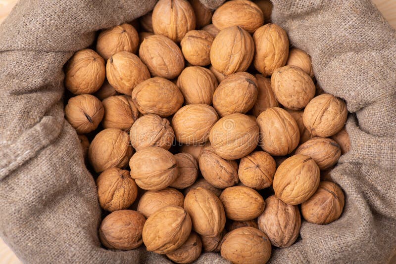 Full sack of walnuts stock image. Image of harvest, market - 261211343