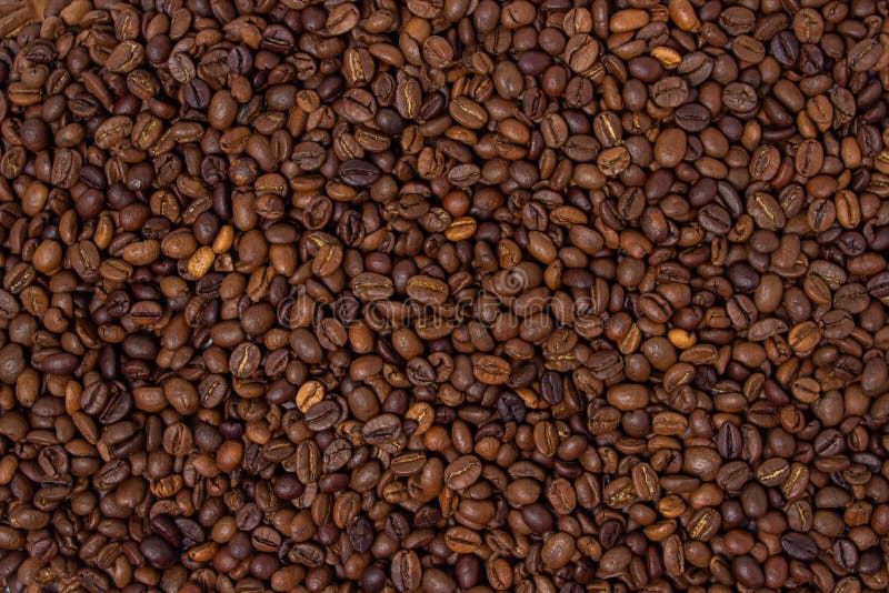 Full Screen Coffee Beans. Large Serving Stock Image - Image of ...