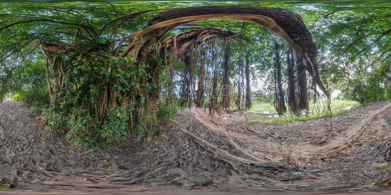 Tropical Evergreen Forest India Map Stock Photos - Free & Royalty-Free ...