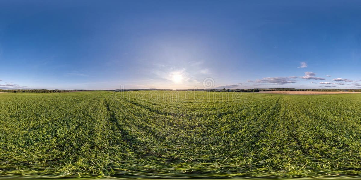 949 Hdri Grass Stock Photos - Free & Royalty-Free Stock Photos from ...