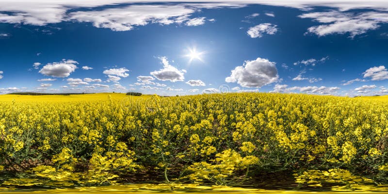 Full Seamless Spherical Hdri Panorama 360 Degrees Angle View on among ...