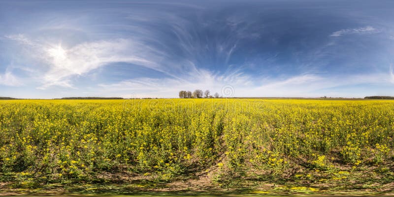 Full Seamless Spherical Hdri Panorama 360 Degrees Angle View on among ...