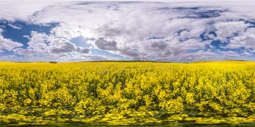533 Hdri Spring Stock Photos - Free & Royalty-Free Stock Photos from ...