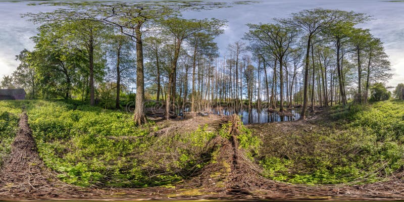 Full Seamless Spherical Hdri Panorama 360 Degrees Angle View among Tall ...