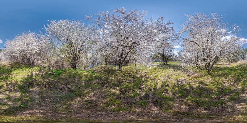 Cherry Blossom Grove Map 1 Stock Photos - Free & Royalty-Free Stock ...