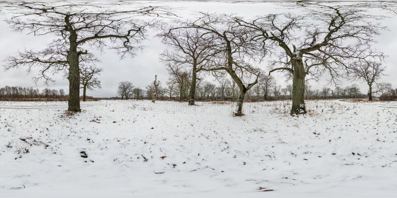 Full Seamless Spherical Winter Hdri 360 Panorama View among Oak Grove ...