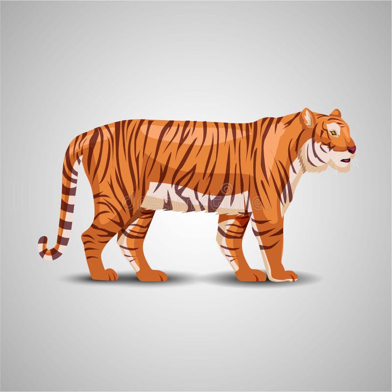 Full Size Tiger Drawing. Vector Illustration Design Stock Vector ...