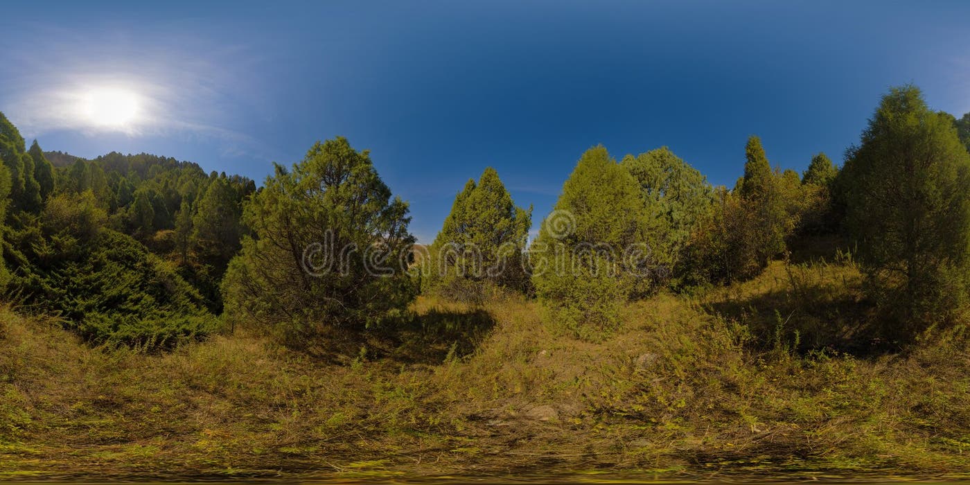 152 Mountain Forest Hdri Stock Photos - Free & Royalty-Free Stock ...