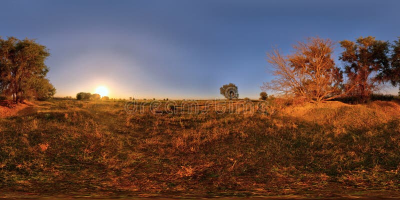 Spherical HDRi Panorama of Rustic Autumn Field Sunset Near Trees Stock ...
