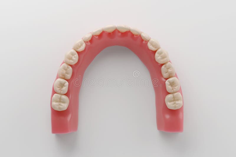 Full Teeth White Background, Top View. Stock Illustration ...