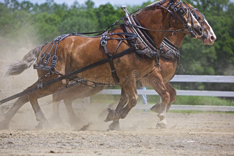 Full Throttle stock image. Image of teamwork, heavy - 122324513