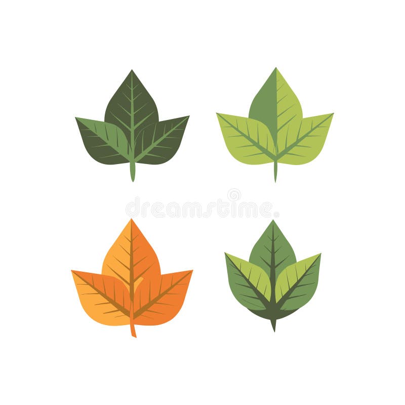Set of leaves vector stock vector. Illustration of collection - 299933411