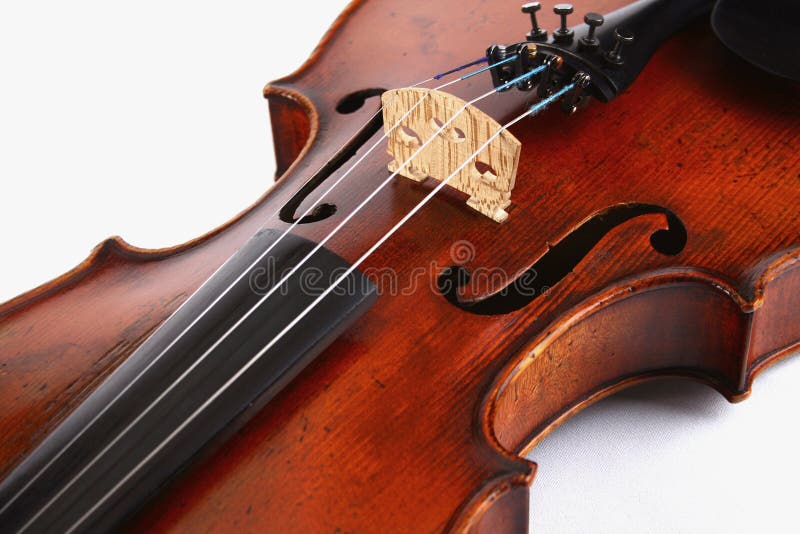 Full violin stock photo. Image of classics, tree, hollow - 1743580
