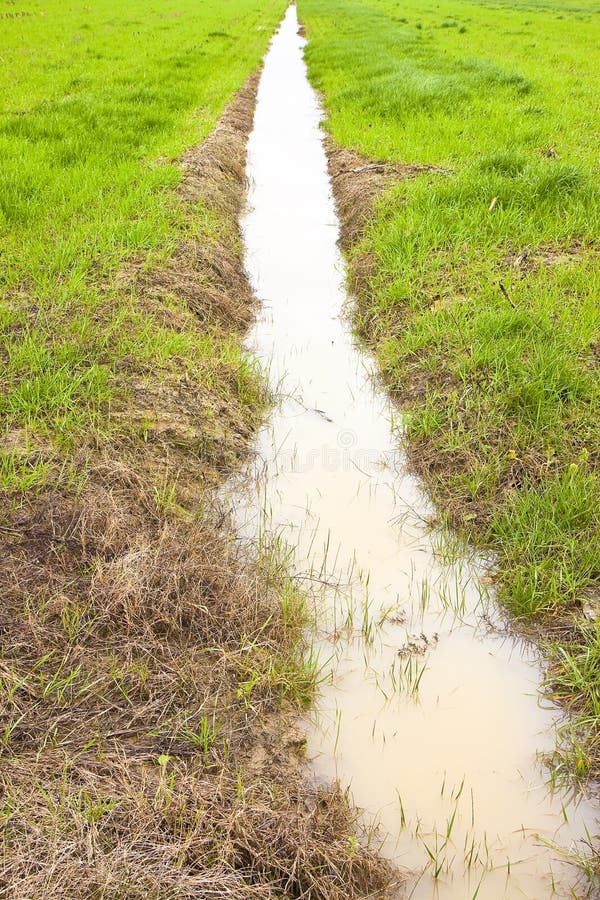 Full Water Ditch in a Field after Torrential Rain Stock Image - Image ...