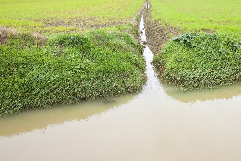 Full Water Ditch in a Field after Torrential Rain Stock Image - Image ...