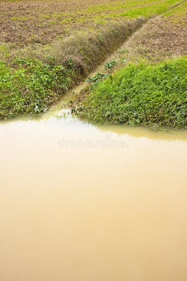 Full Water Ditch in a Field after Torrential Rain Stock Photo - Image ...