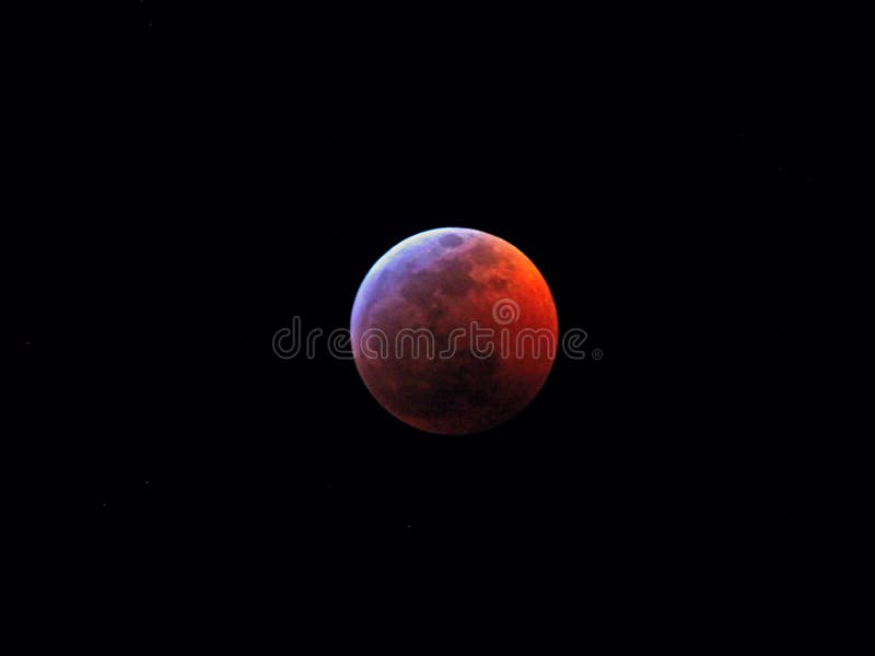 Full wolf blood moon stock image. Image of colorful - 180877387