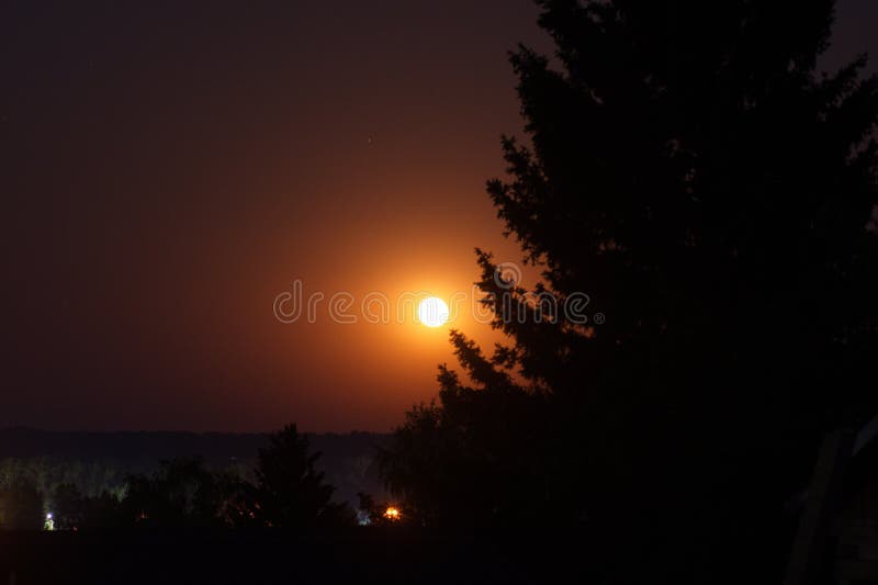 Full Yellow Moon in the Night Sky with Branches of Forest Trees Stock ...
