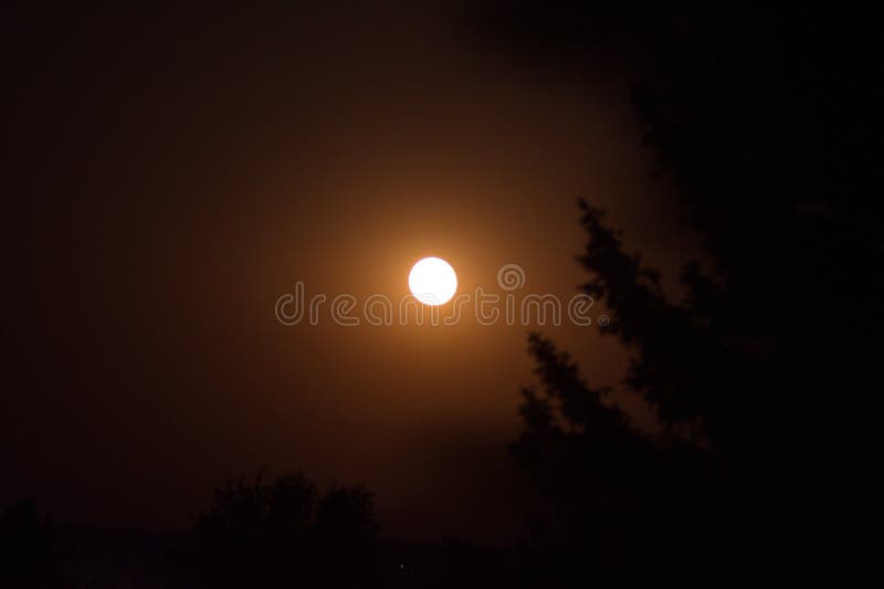 1,026 Yellow Full Moon Forest Stock Photos - Free & Royalty-Free Stock ...