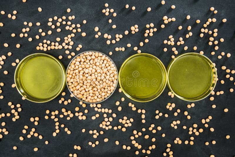 Soybean Genetically Modified, Plant Cell Stock Image - Image of ...