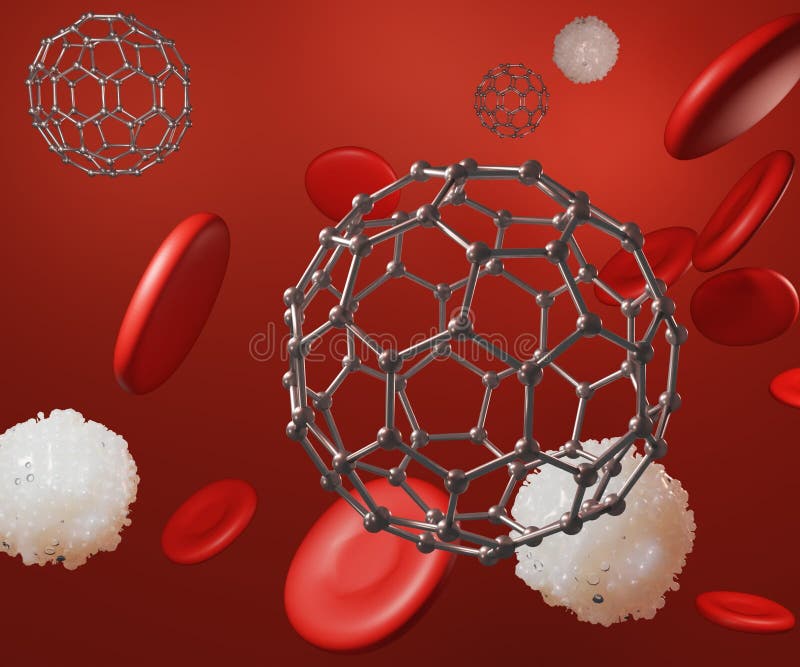 Fullerene, Red Blood Cells and White Blood Cells in the Blood Vessel ...