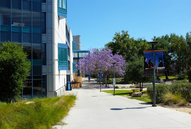 FULLERTON CALIFORNIA - 22 MAY 2020: Beautiful Landscaping on the Campus ...