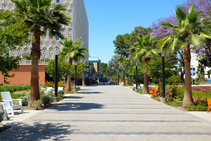 Library Walkway in Manchester City Centre Stock Image - Image of alley ...