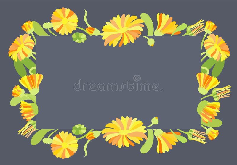 Isolated Frame with Hand Drawn Garden Flowers Stock Vector ...