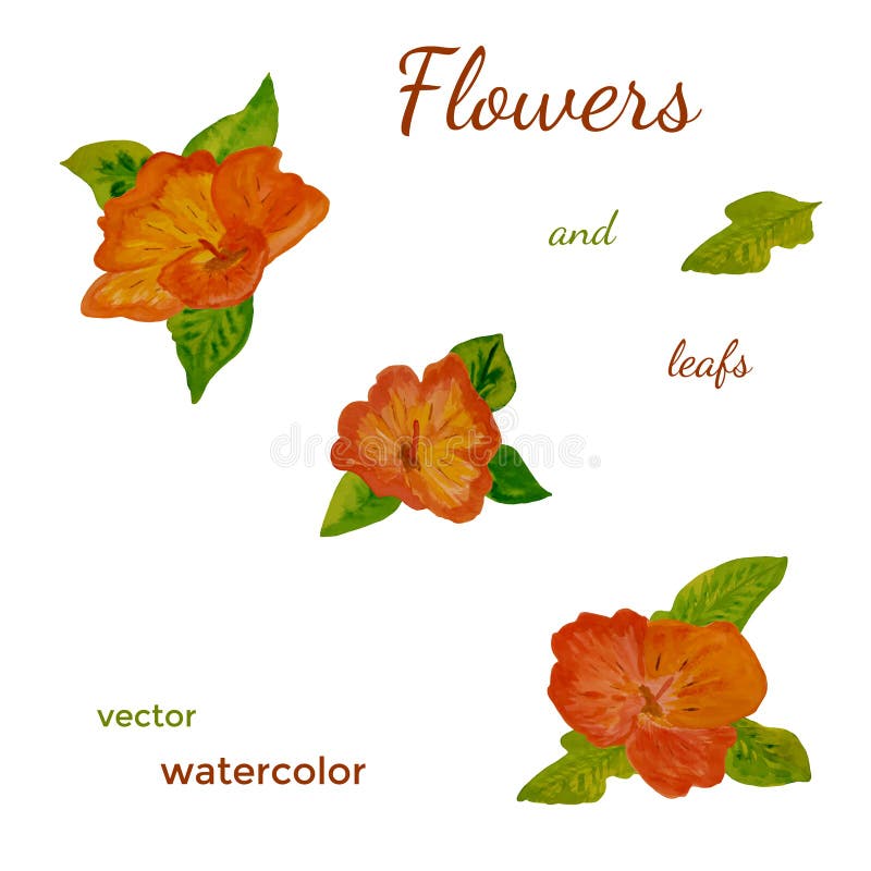 Fully Editable Flowers and Leaves Painted Stock Vector - Illustration ...