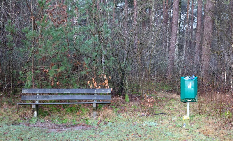 Fully Loaded Trash Bin in the Forest Stock Photo - Image of green ...