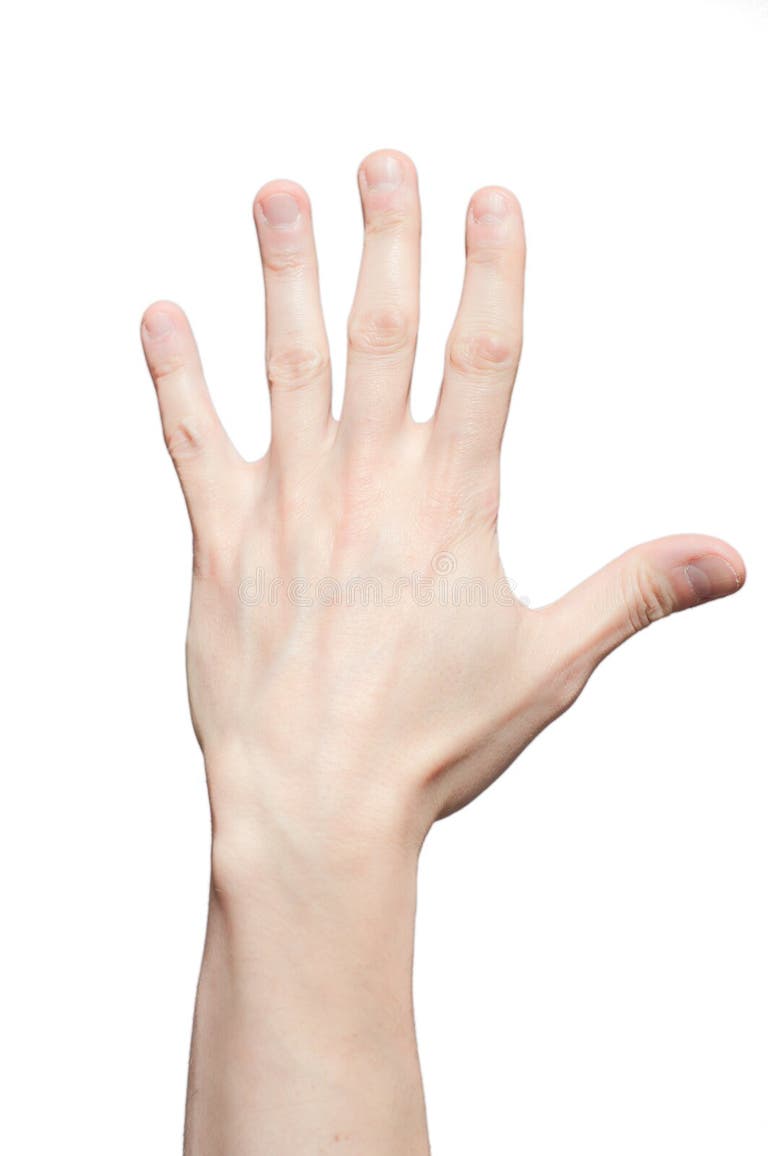 7,160 Open Back Hand Stock Photos - Free & Royalty-Free Stock Photos ...