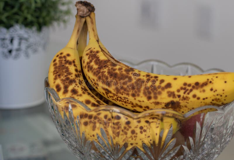 Fully Ripe Banana stock image. Image of ripe, indoor - 260080659