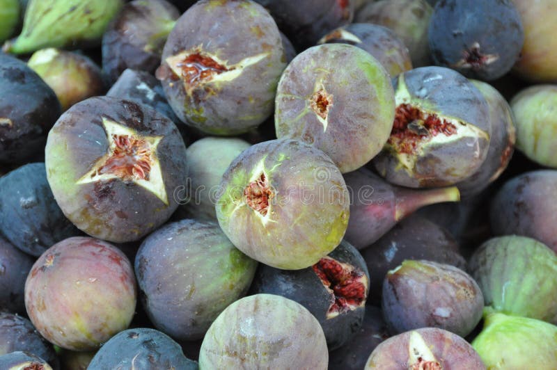 Fully ripe figs stock image. Image of healthy, diet, detail - 10819869