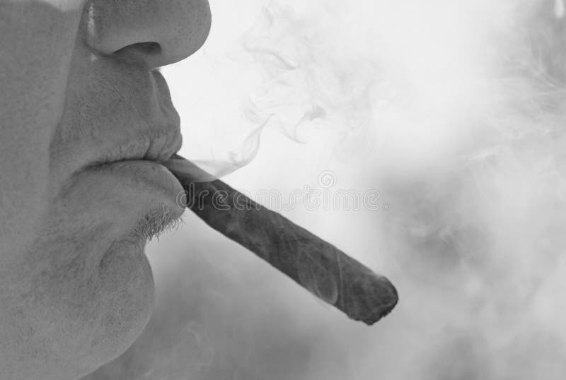 Fumador Com O Charuto Em Seus Boca E Fumo Muito Branco Foto de Stock ...