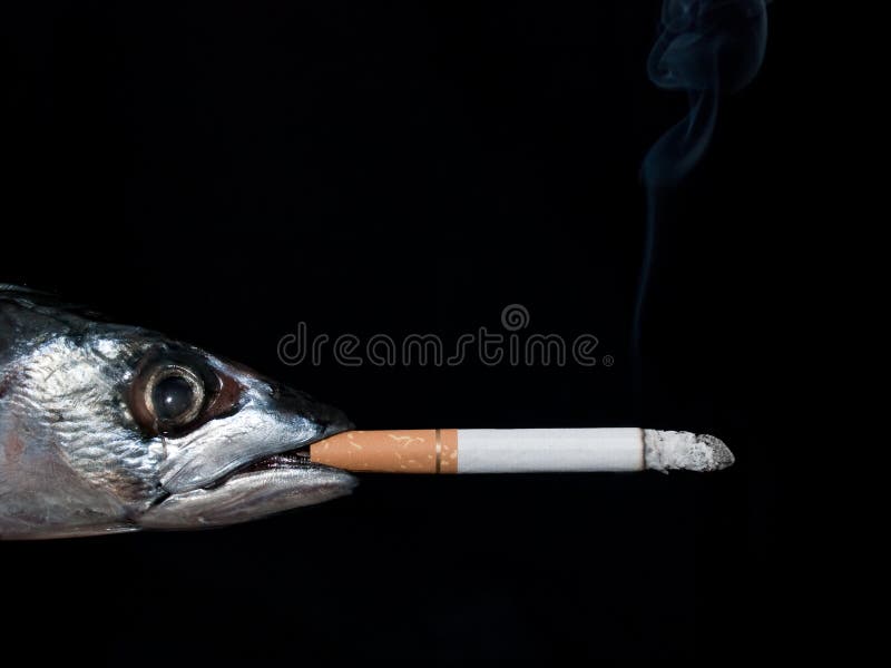 Fumage de poissons image stock. Image du cigarette, fumée - 12611939