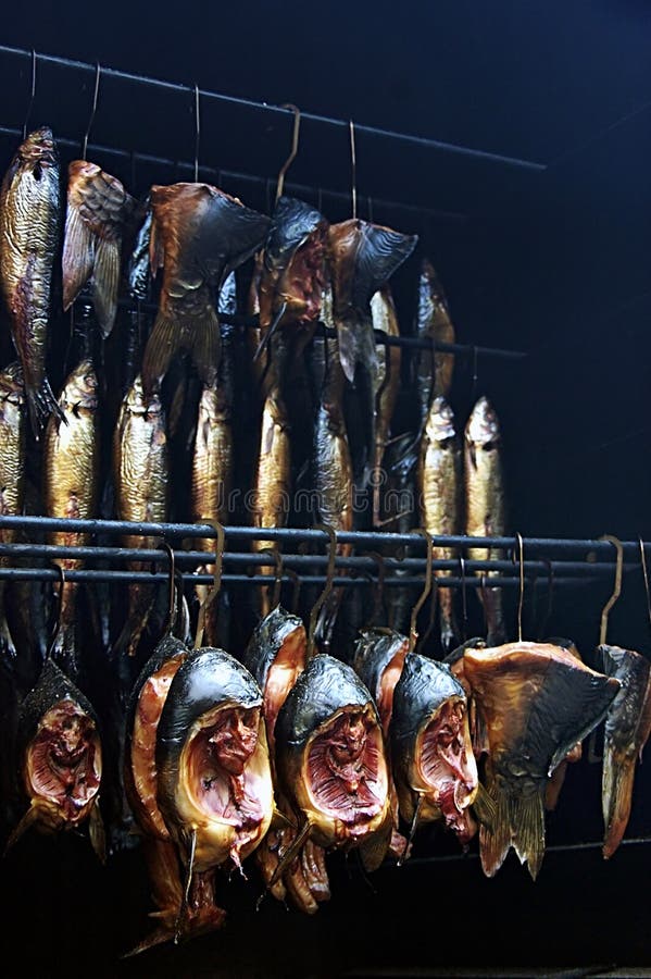 Fumer-poissons image stock. Image du échelles, rayé, encens - 11542351
