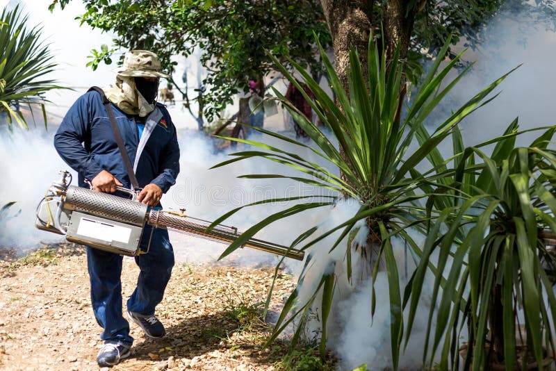 Fumigate Mosquito at Home for Protection Mosquito Stock Photo - Image ...