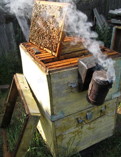 Fumigation of bees stock image. Image of beekeeping, chisel - 20140389