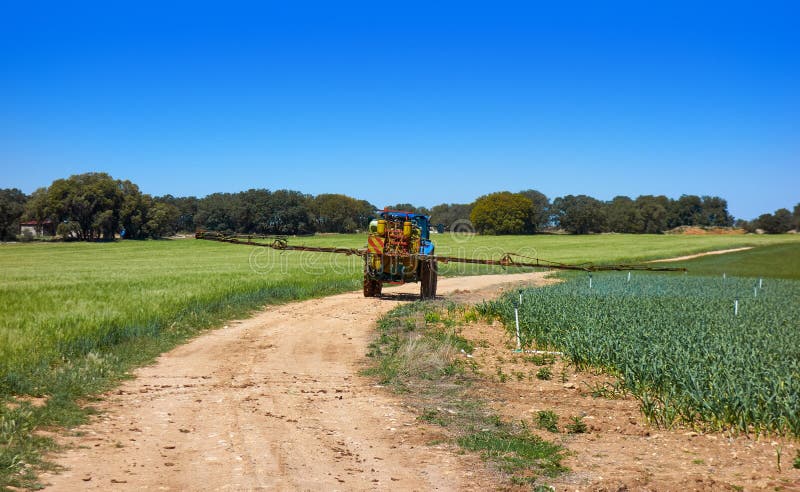 Fumigation Tractor in Cereal and Onion Field Stock Image - Image of ...