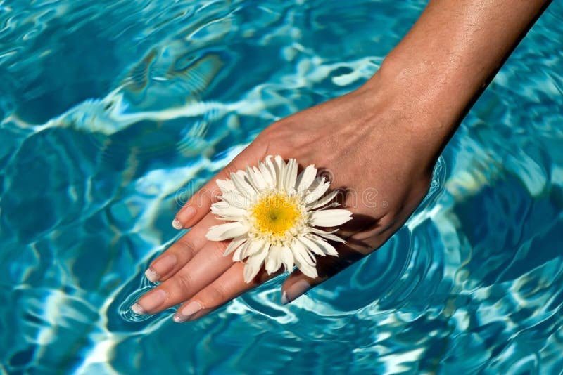 Hands and Flower stock photo. Image of magnolia, massage - 265324