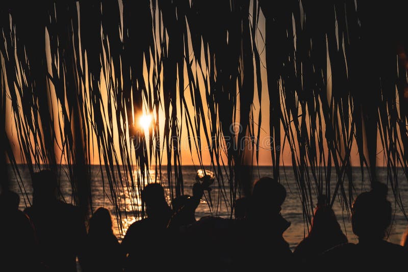 Fun Atmosphere on the Beach at Sunrise Stock Photo - Image of reeds ...