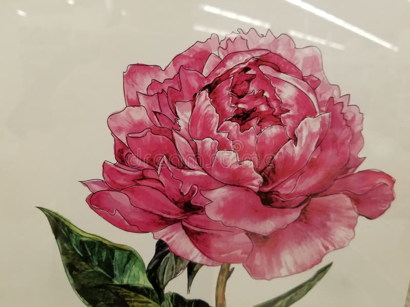 Fun Beautiful Flower editorial stock image. Image of green - 171083024