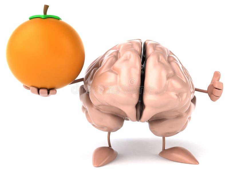 Fun brain stock illustration. Illustration of diet, orange - 57829326
