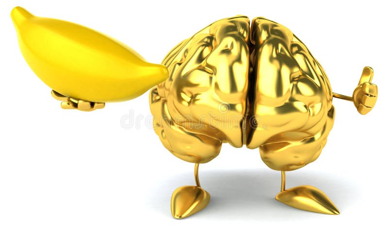 Fun brain stock illustration. Illustration of human, analysis - 57829342