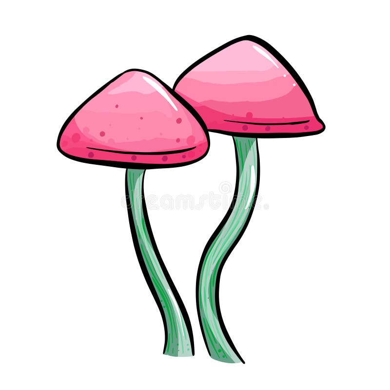 Fun Cartoon Mushroom Toadstool Character Vector Illustration Stock ...