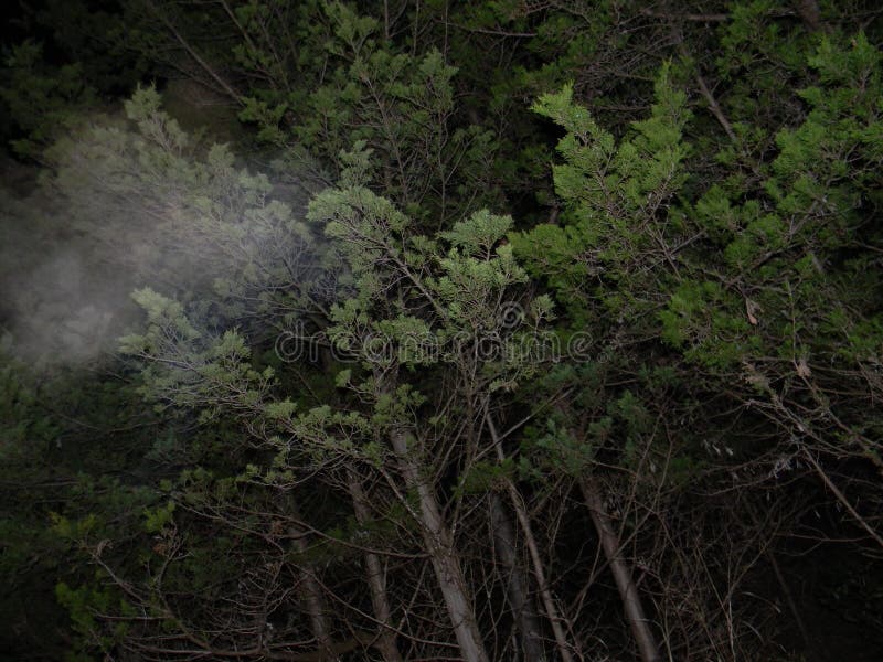 Fun with cold air stock photo. Image of cold, fireworks - 174312070