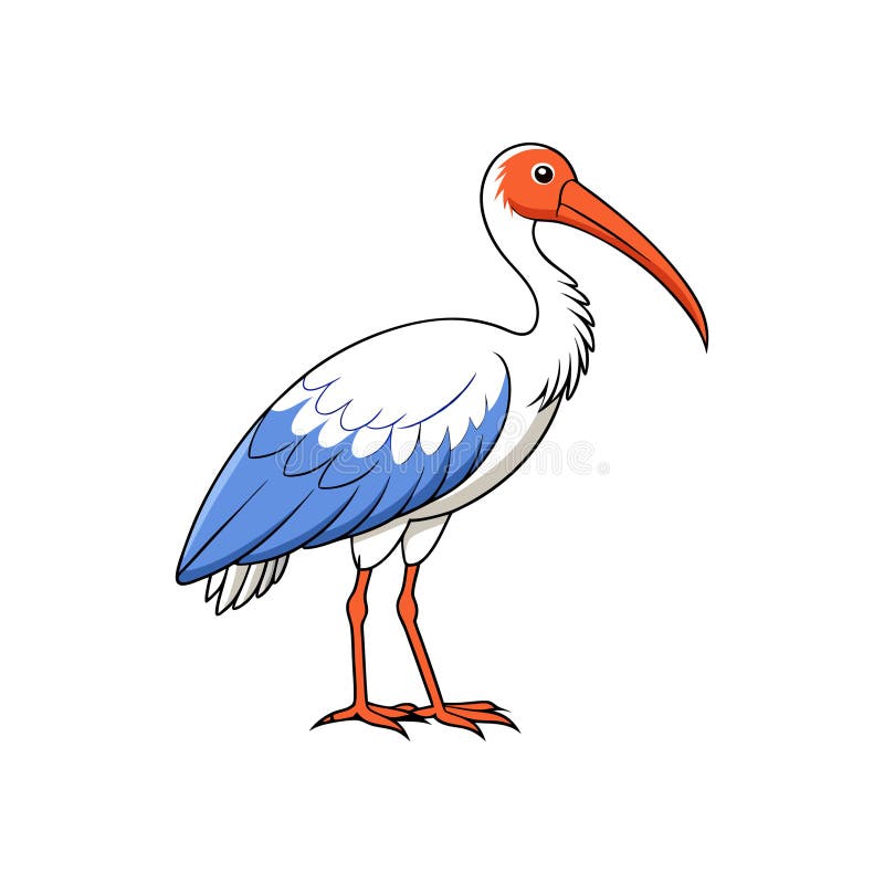 Engaging Ibis Coloring Template Stock Illustration - Illustration of ...
